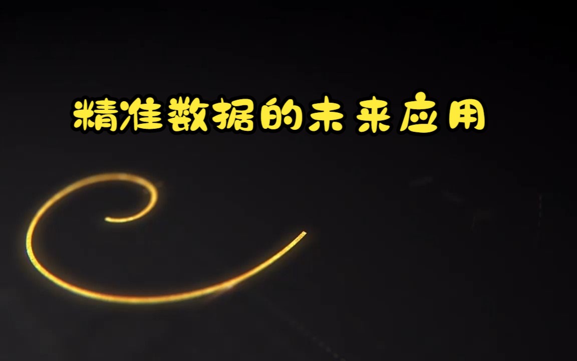 13. 精准数据的未来应用