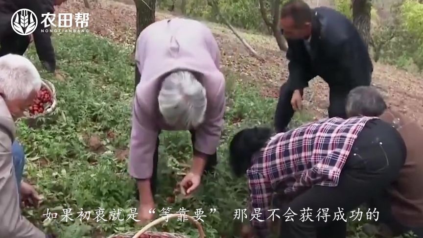 国家大力扶持农村电子商务创业,如何做好电子商务?有什么诀窍?