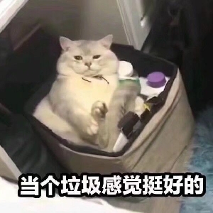 人间调查员1993 