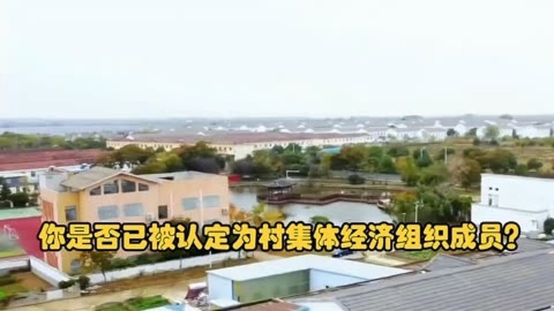 你是否已被认定为村集体经济组织成员