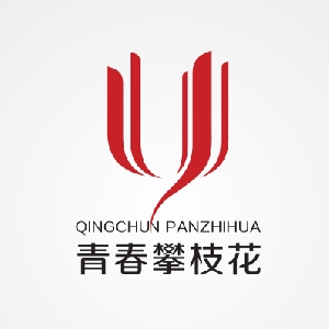 共青团攀枝花市委 