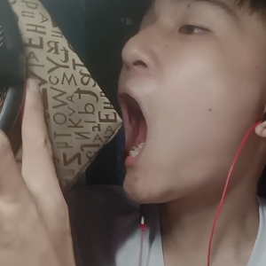 bboxer小小 
