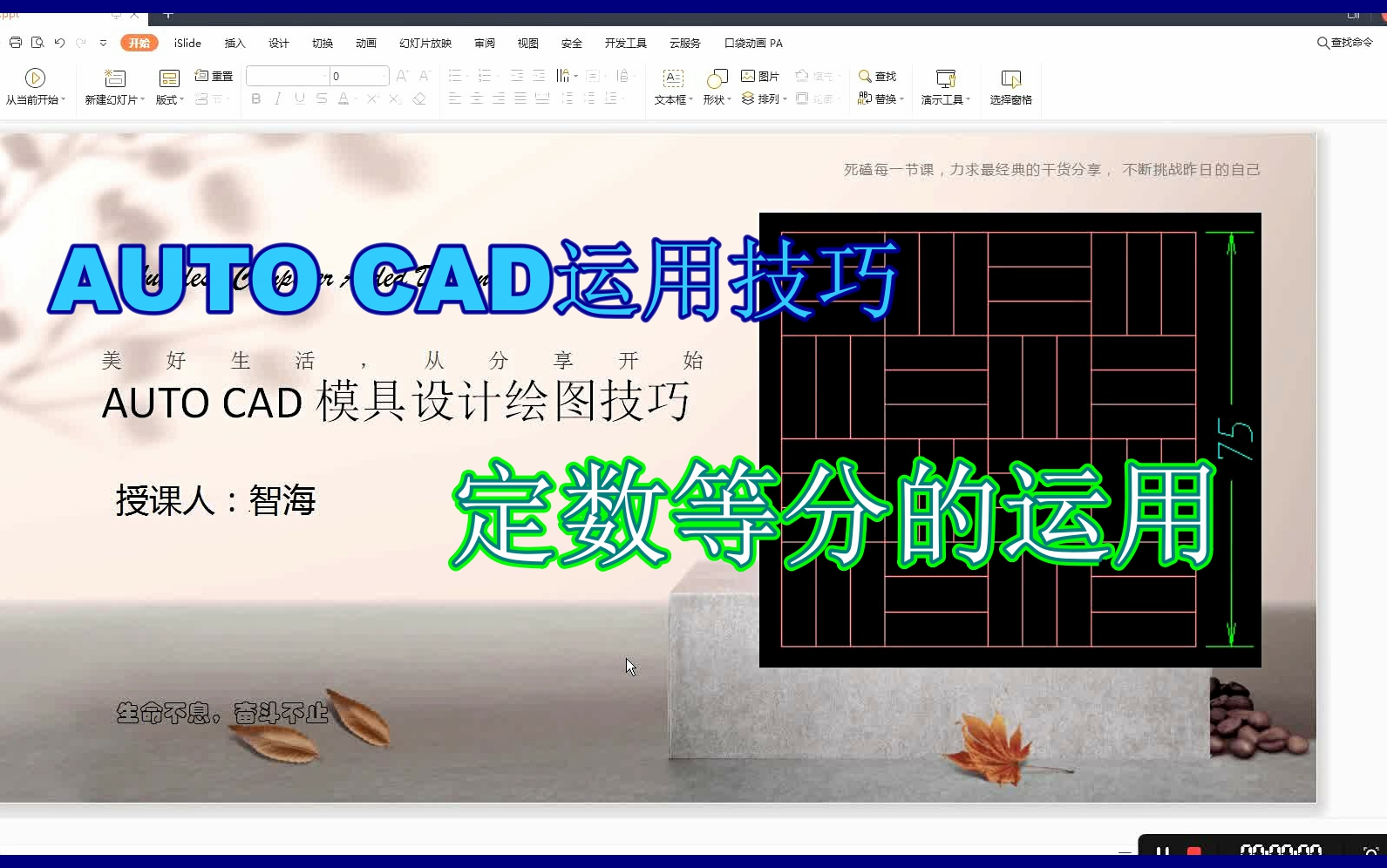 定数等分的运用