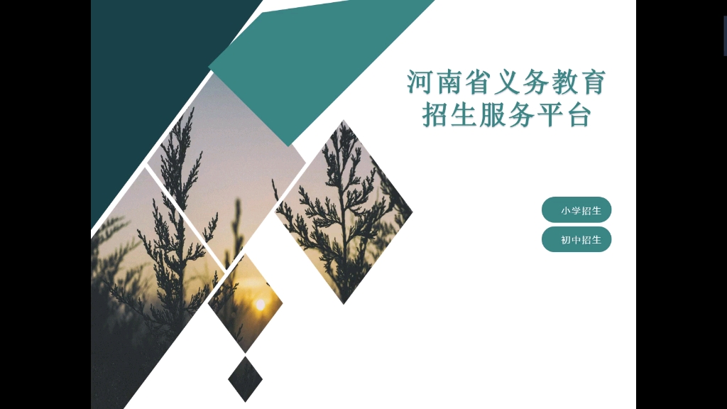 河南省义务教育招生服务平台视频讲解