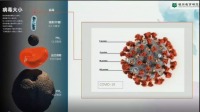 【福州云课堂】初二生物《传染病和免疫》福州华伦中学：张燕