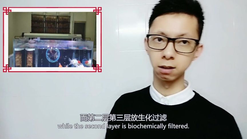 鱼缸水清鱼靓不是梦,鱼缸滤材这样选择和摆放,鱼缸水质更清澈