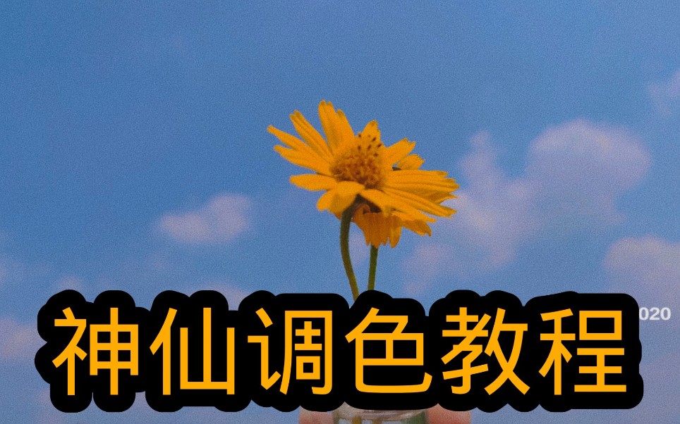醒图app中的神仙调色教程来啦~一看就会,参数简单易懂