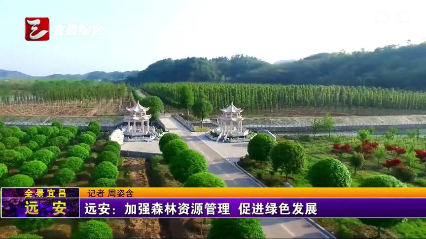 远安:加强森林资源管理 促进绿色发展