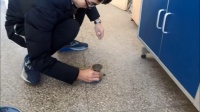 水泥凝结时间和标准稠度用水量