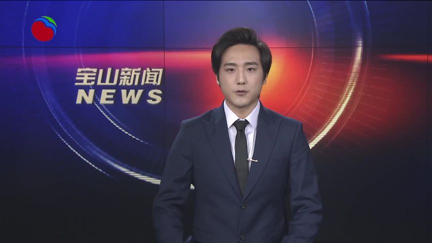 ...发展“必答卷”宝山区新兴领域党的组织体系全覆盖工作推进会召开