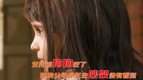 女孩被狗狗咬了,她的父母却正在吵架没有看到2