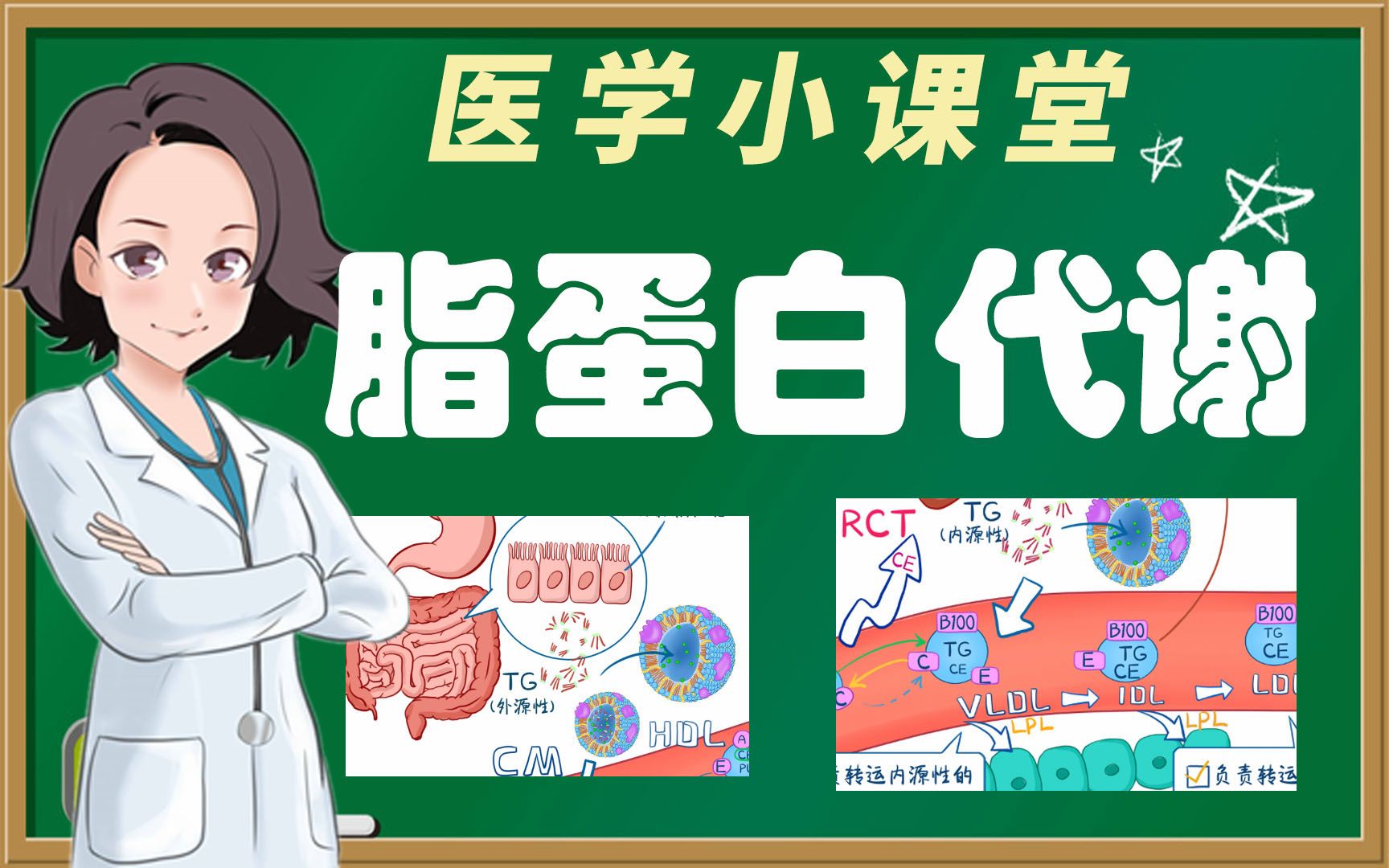 知易社医学小课堂 生物化学 脂蛋白的代谢