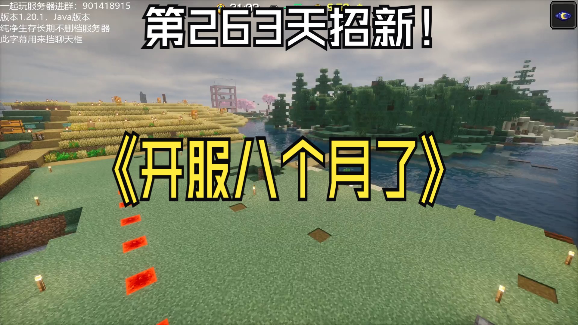 【Minecraft我的世界】纯净公益不删档生存服务器(开服第263天招新)_...