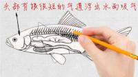 鱼能自由浮沉的原因靠的是什么?