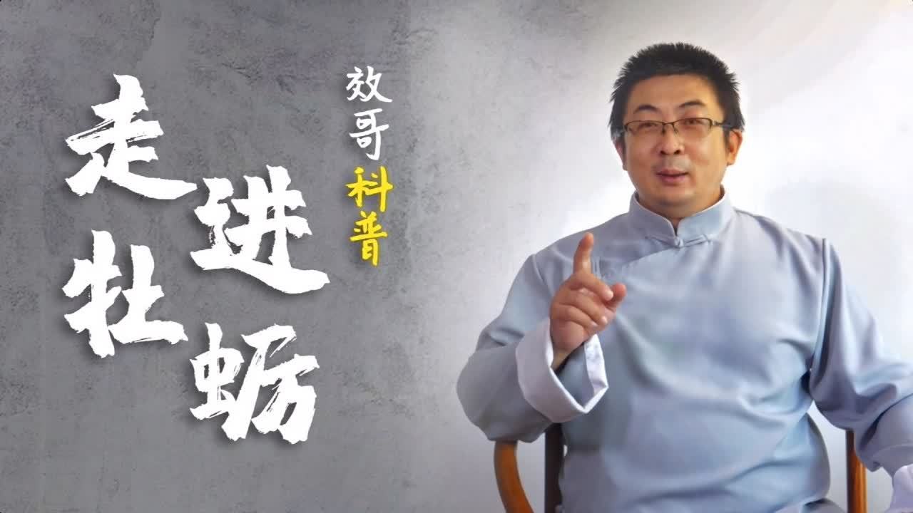 揭秘老中医热门方子里的常用药!牡蛎在中药里究竟.