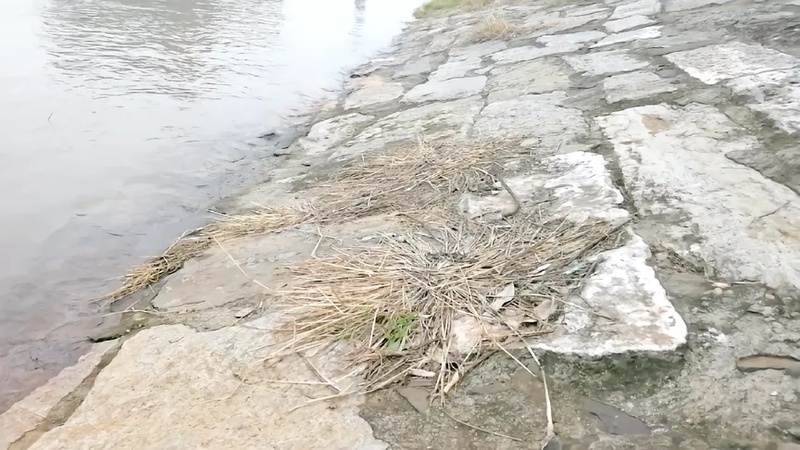 湖北荆州:进入汛期,水位上涨,注意安全,谨防溺水