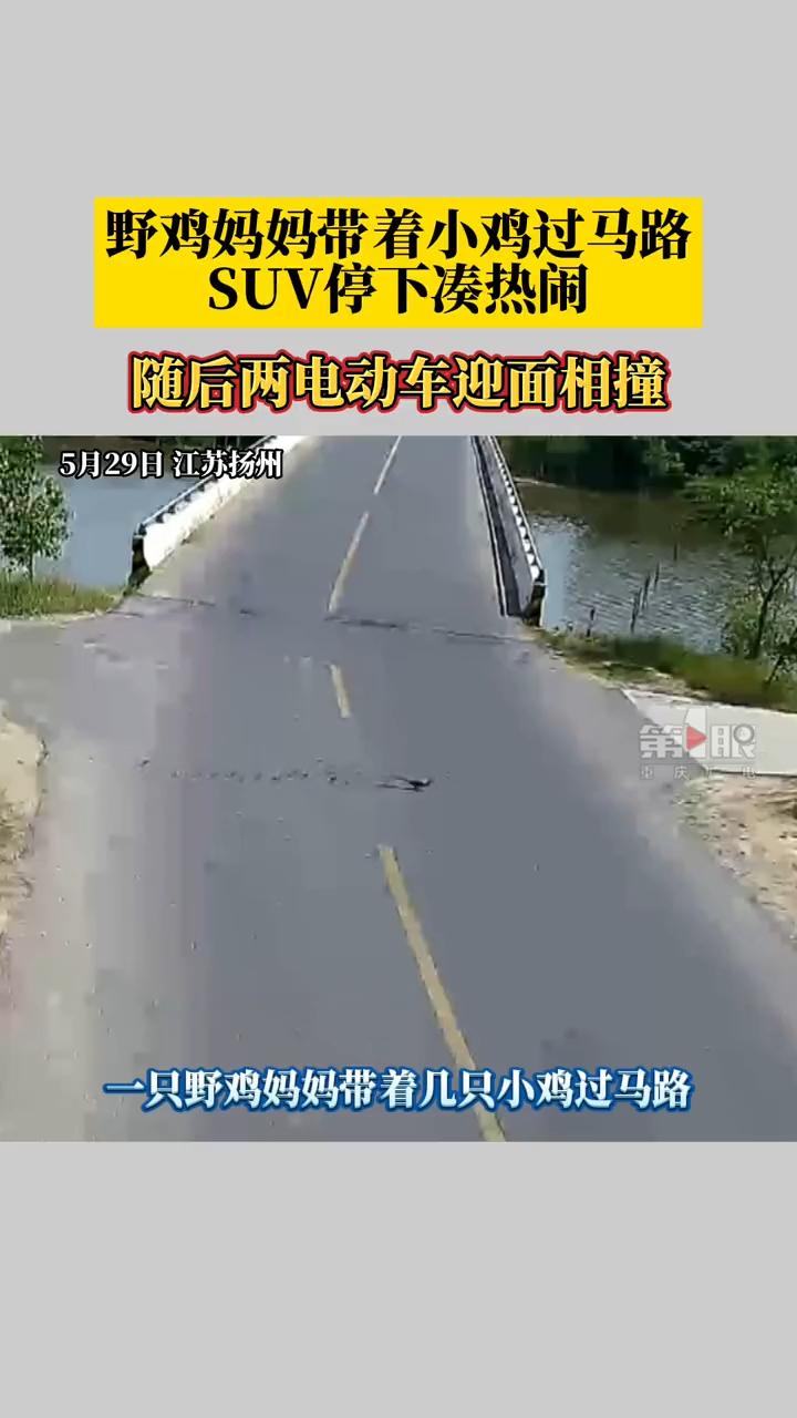 5月29日,江苏,#SUV违停看野鸡随后两电动车相撞,这事责任在谁?