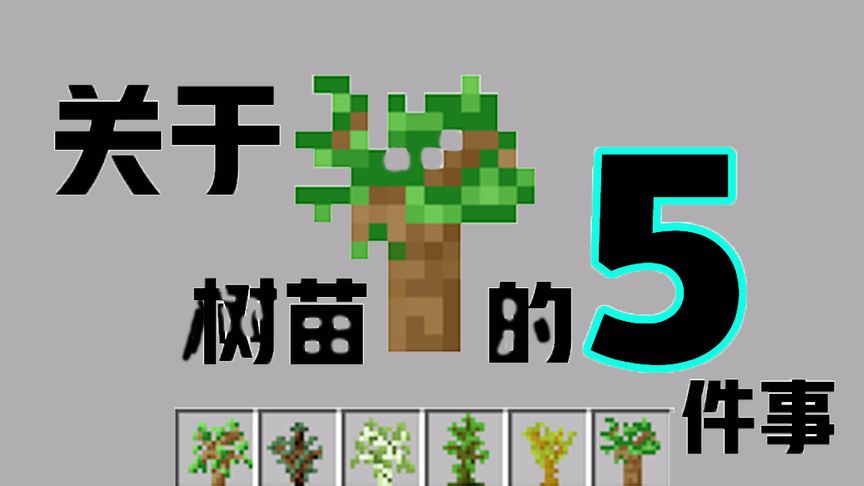 我的世界:树苗你不知道5件事!种树时千万不要站上面,容易窒息
