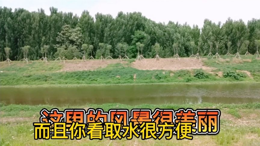 我驾驶电动四轮车与老伴沿山东省济宁市高新区蓼沟河东岸向南观光