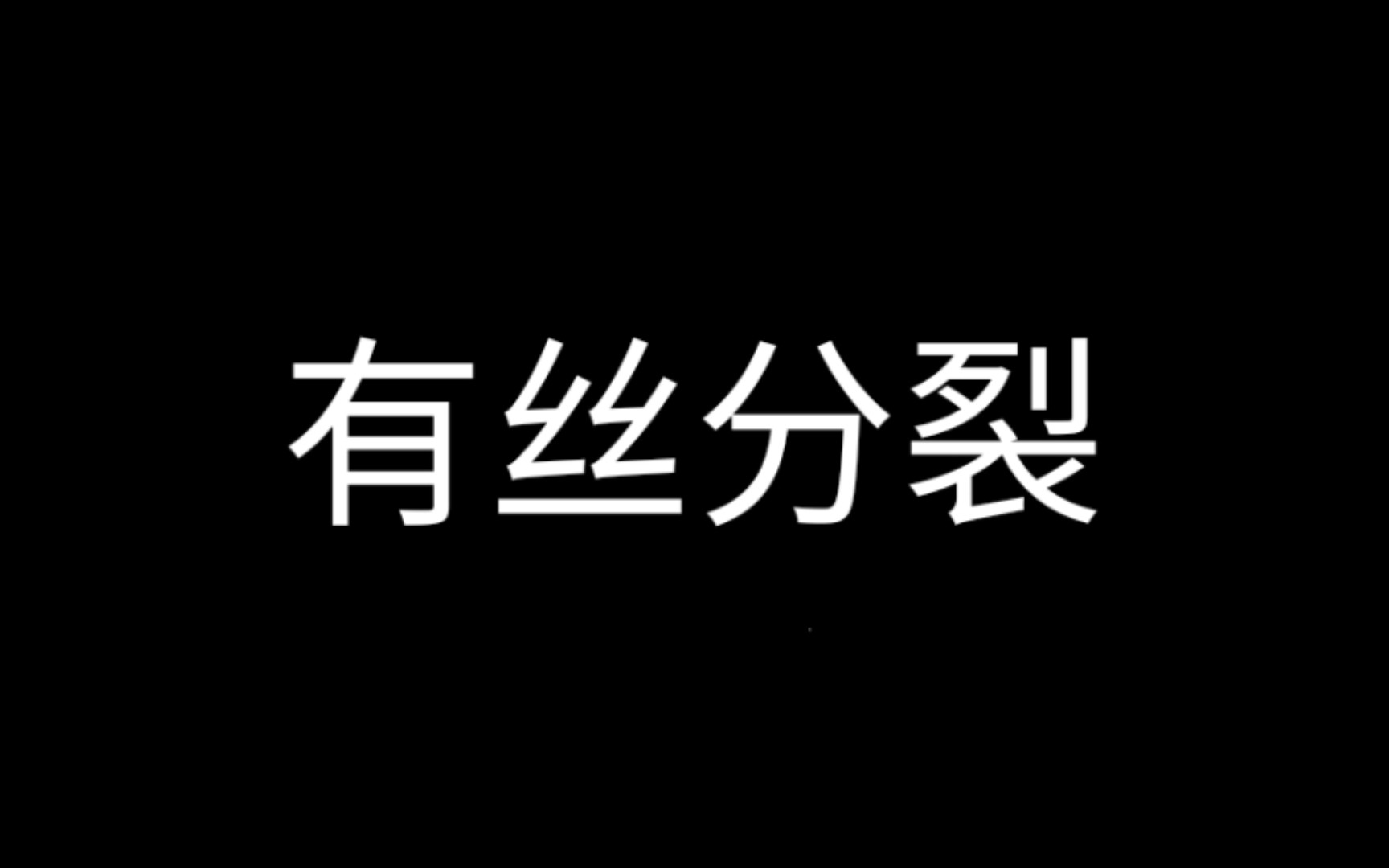 细胞有丝分裂模型