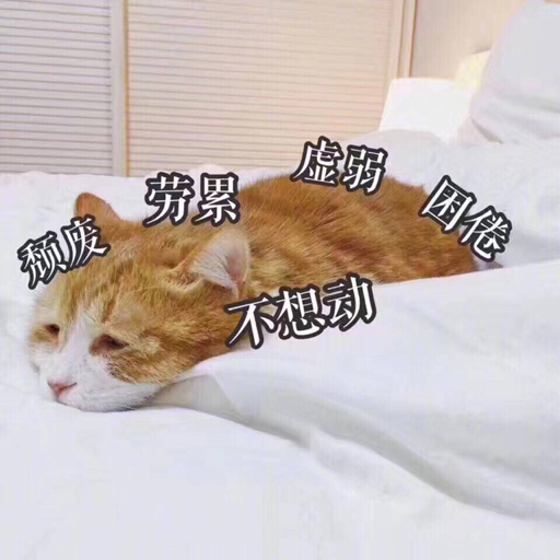 卡神卡神 