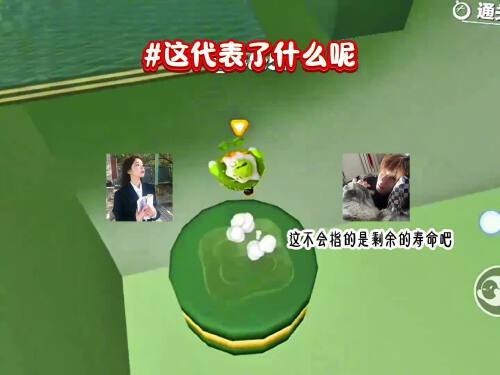 所以这个代表什么呢?