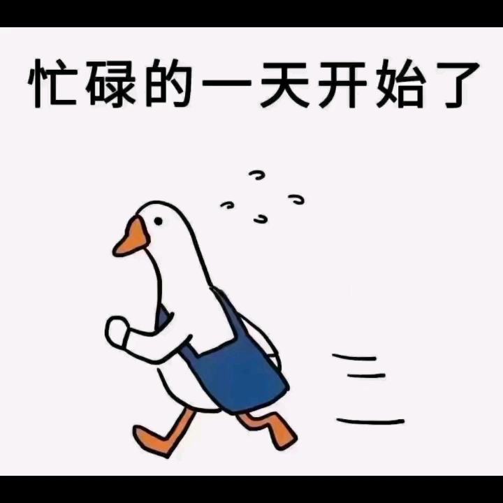 资质加盟开设分公司