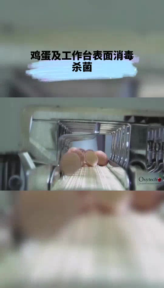 鸡蛋及工作台表面消毒
