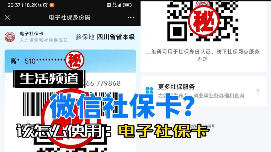 微信电子社保卡,该怎么申请和使用