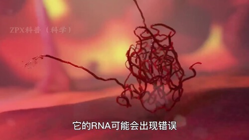 你知道你体内的免疫细胞有多强大么?这期视频告诉你