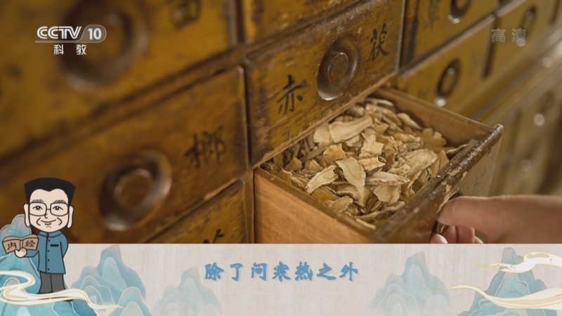 ...讲坛]了不起的《黄帝内经》 20 灵活询问巧诊断 面面俱到的中医问诊