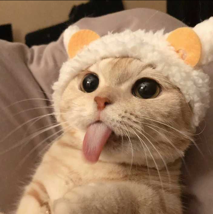 是小闹闹闹呀 