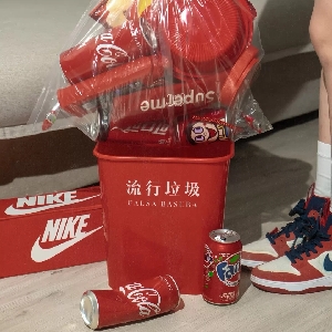 生活无脑君 