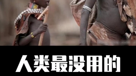 人类最没用的十个器官,你知道都是什么吗