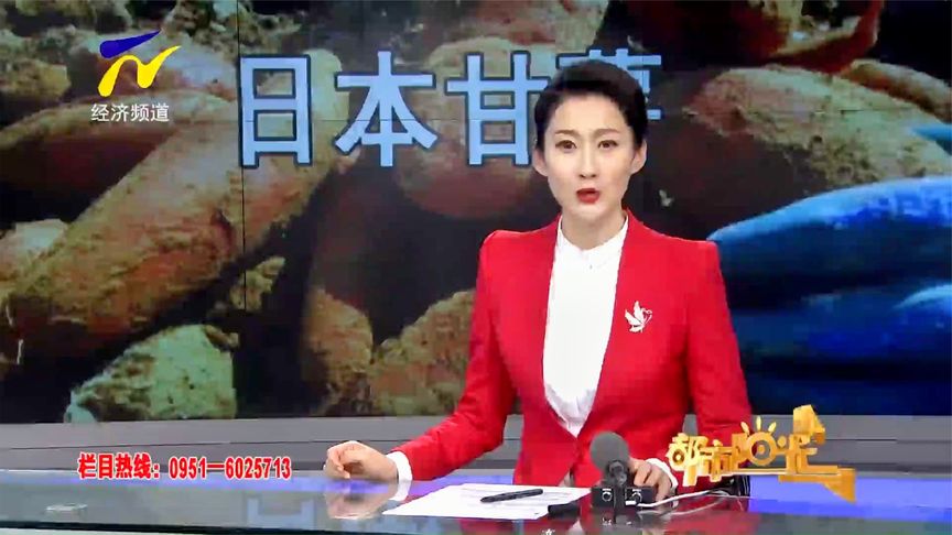 我区重点研发计划项目取得阶段性成果