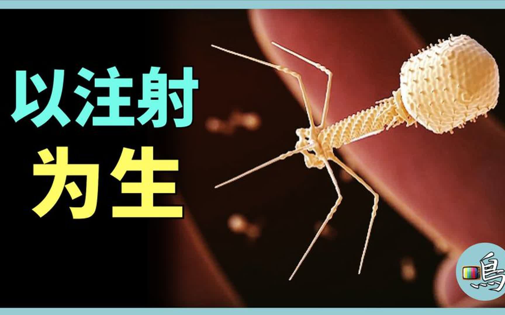噬菌体,人类为了杀死魔鬼,释放出更大的魔王