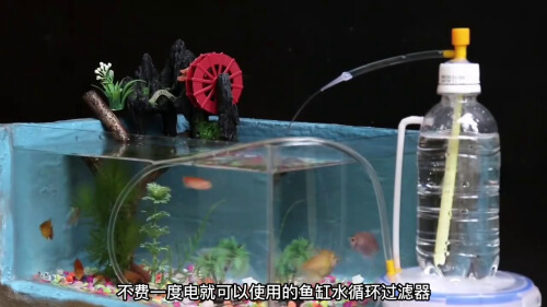 不费一度电的,自制鱼缸水循环过滤器,节能又环保