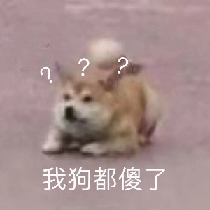 希胤齐航 