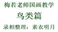 梅若老师各种鸟的画法
