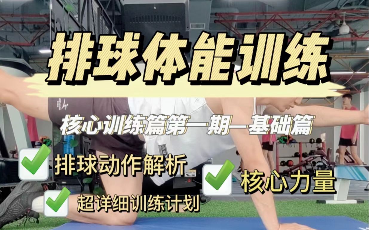 【排球专项体能训练】核心训练-基础篇(球类通用)