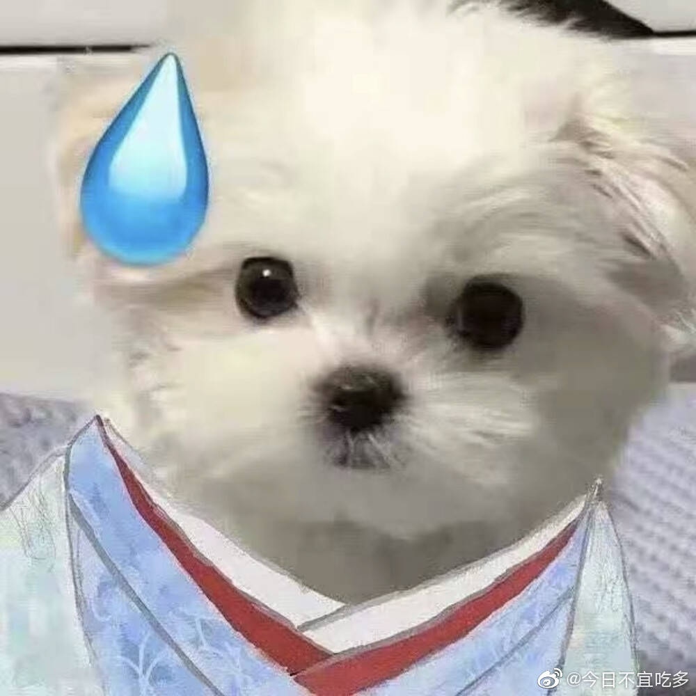 一颗优质土豆 