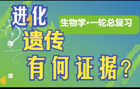 【高中生物一轮复习】7.4-1生物的进化 化石证据 适应 新高考生物...