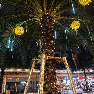 职称资质百宝箱 