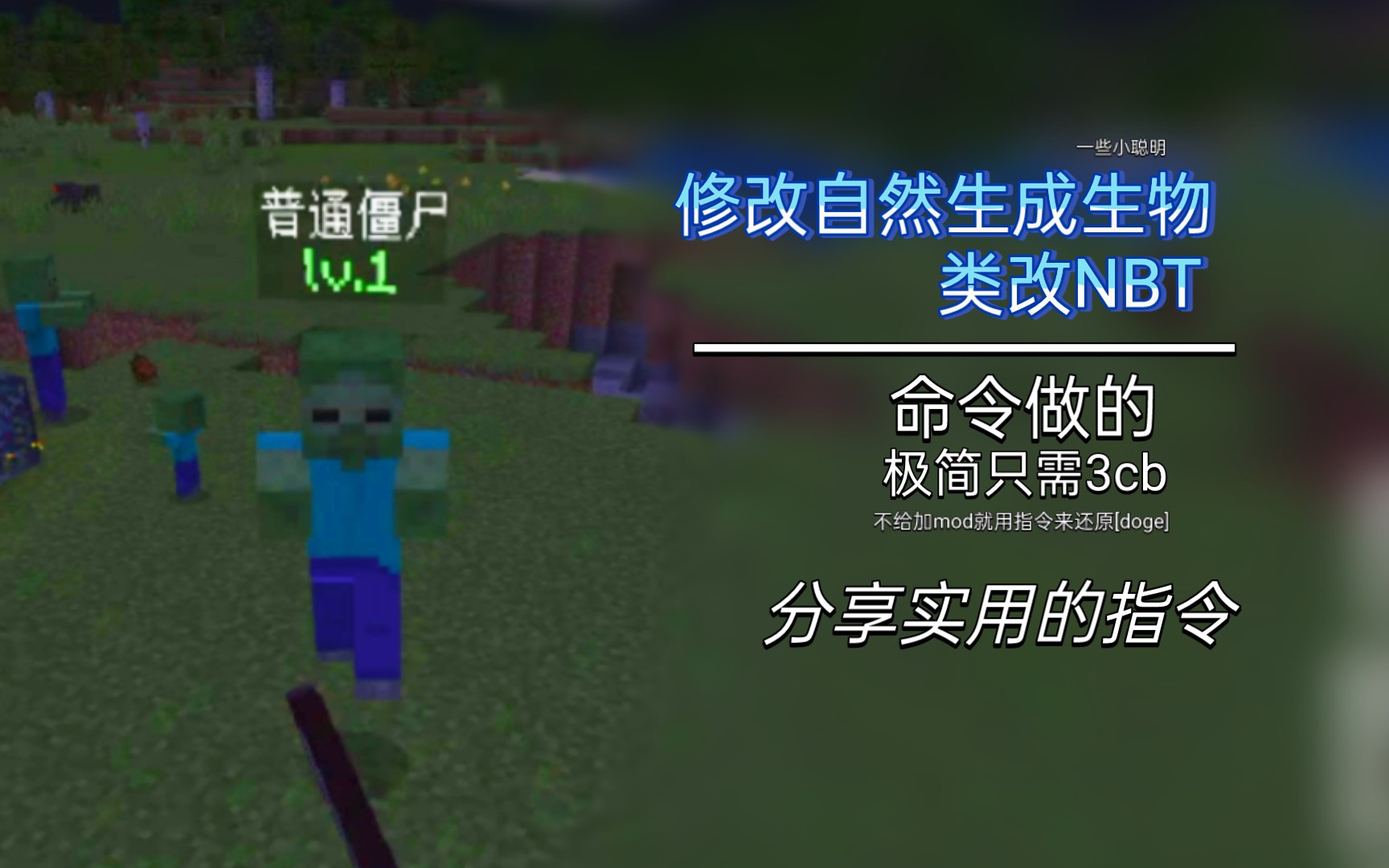 我的世界 命令块修改自然生成类改NBT 适合部分RPG服
