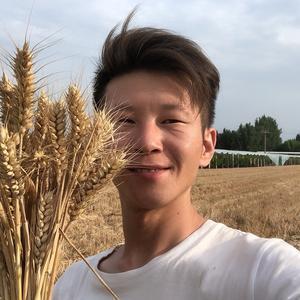 陕西阿运 