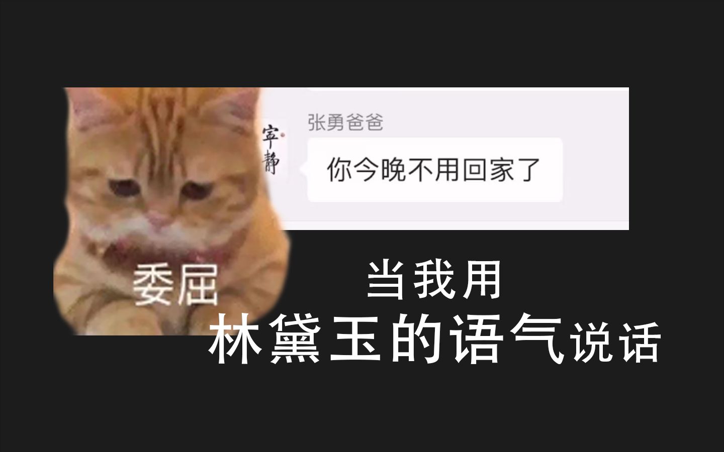 当我用林黛玉的语气说话!【张勇的手机】