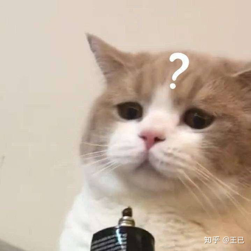 www538566 