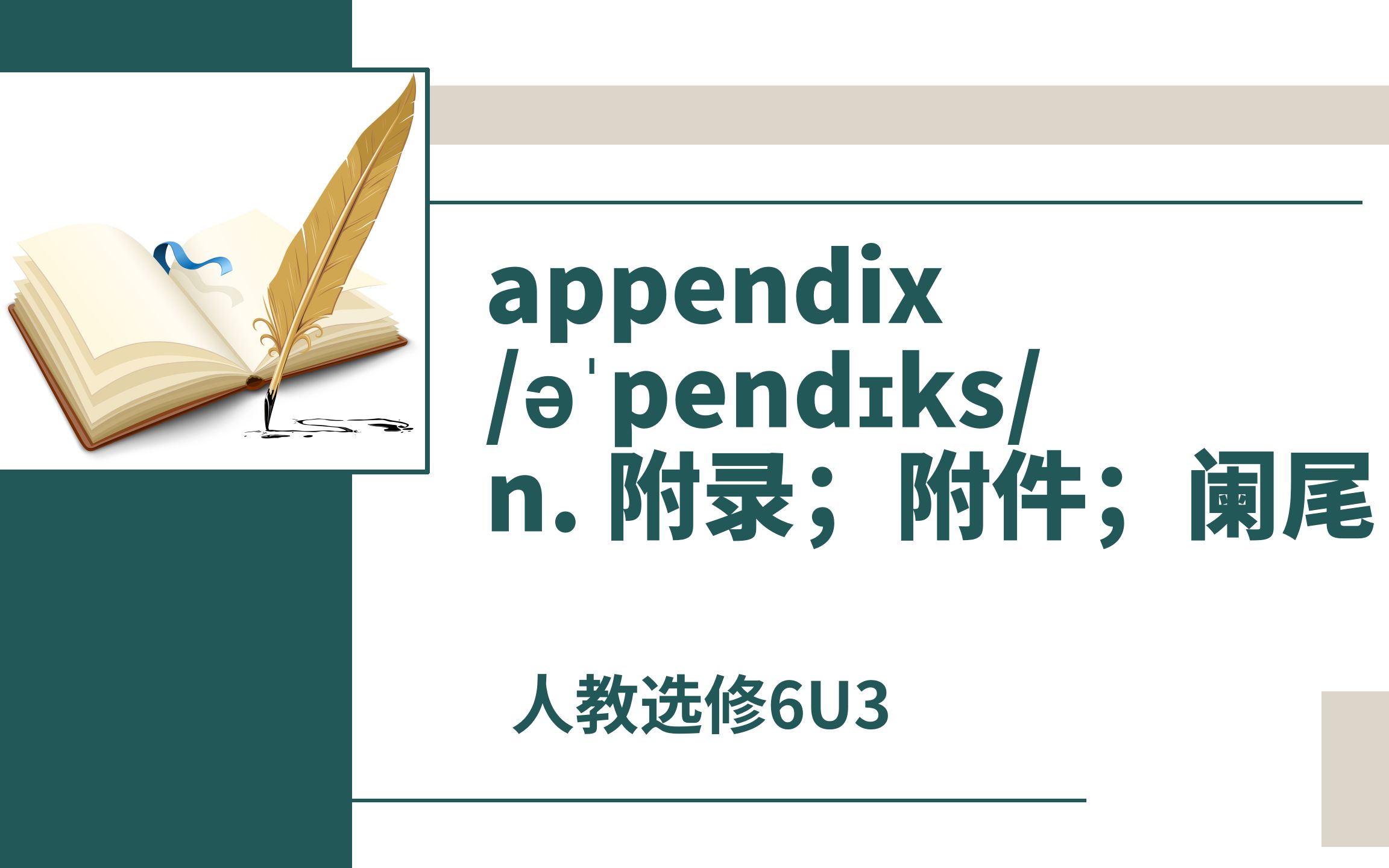 高中单词讲解:appendix 人教选修6U3