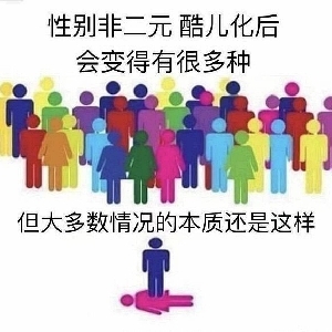 圣地压狗执行总裁 