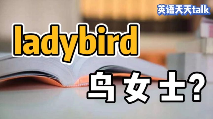 lady是“女士”,bird是“鸟”,英语 ladybird 是什么意思?